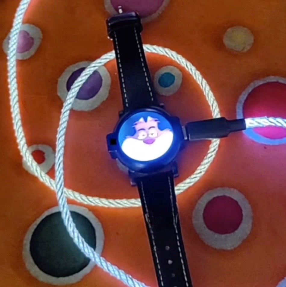 Cheshire Cat Watch – Terri Hardin's Cheshire Cat